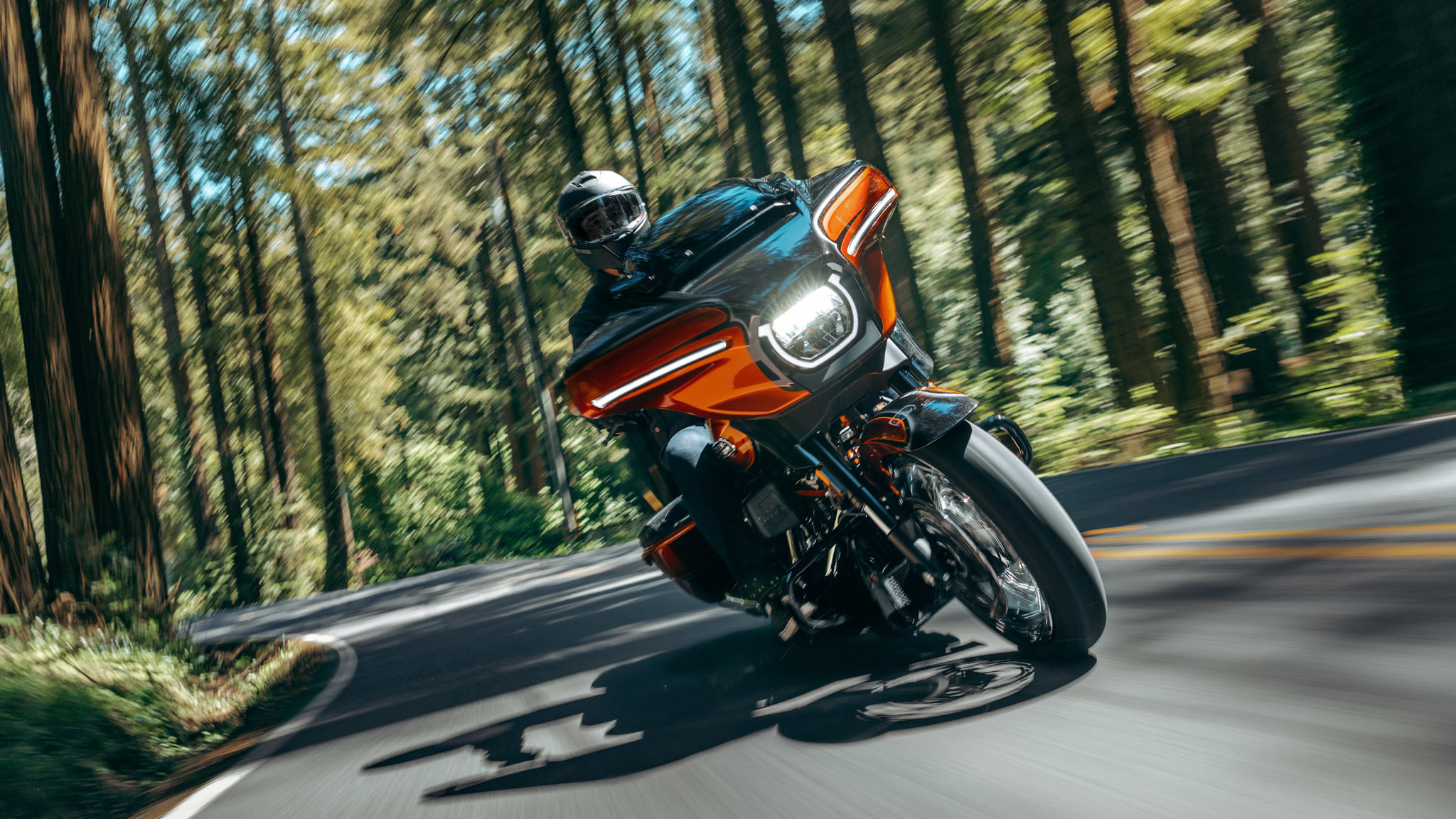 Startseite | F. + W. Arni AG - Official Harley Davidson Dealer