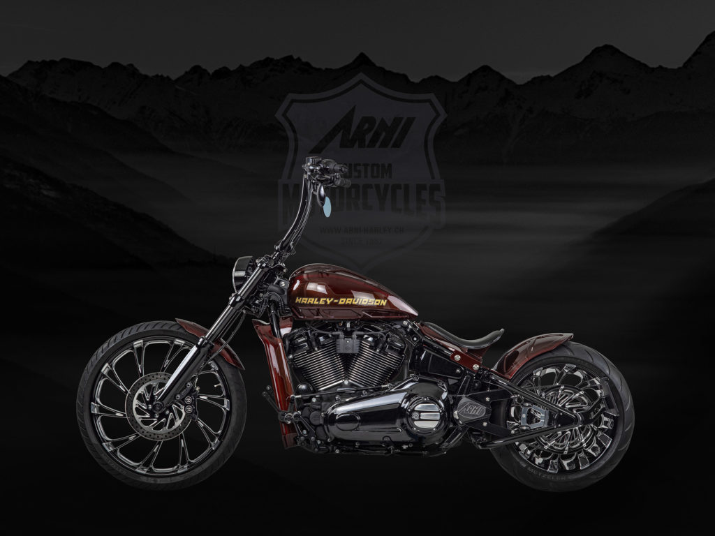 Custom Bike – Ragnar | F. + W. Arni AG - Official Harley Davidson Dealer